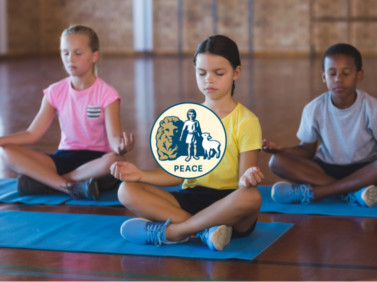 Teach - Gathering Resources